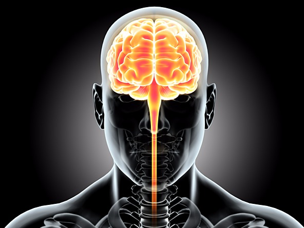 Habit formation | Feature | Research Live